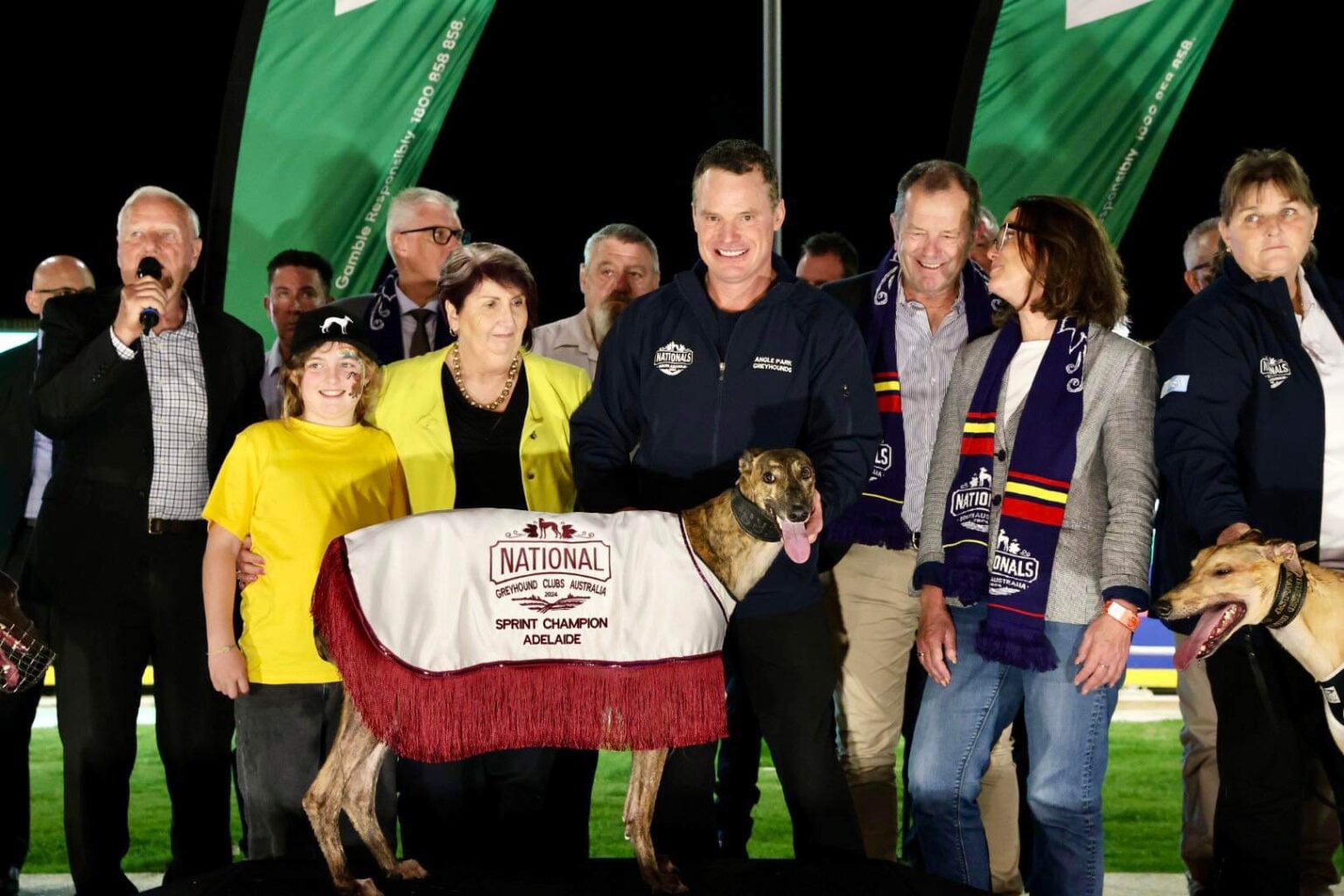 Miss Envy Quells 'Horror' Lead Up For Sprint Glory - Greyhound Recorder