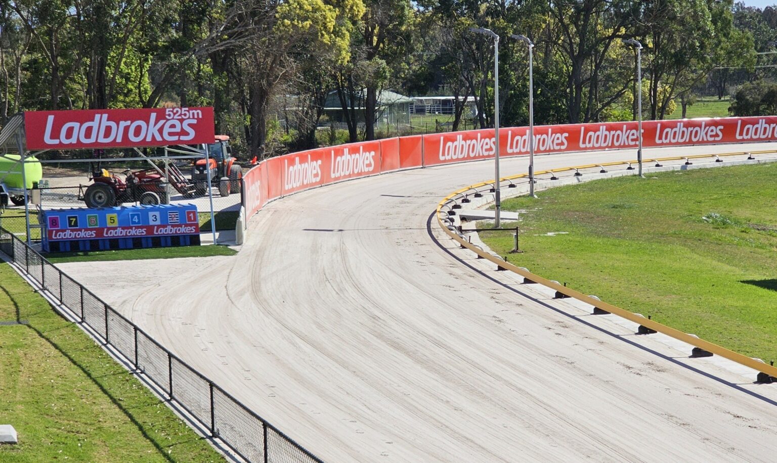 Opening Taree Meeting Thrown Into Turmoil - Greyhound Recorder