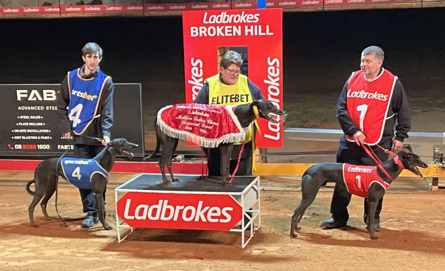 Delbridge Duo Burst Into Million Dollar Chase Mix - Greyhound Recorder