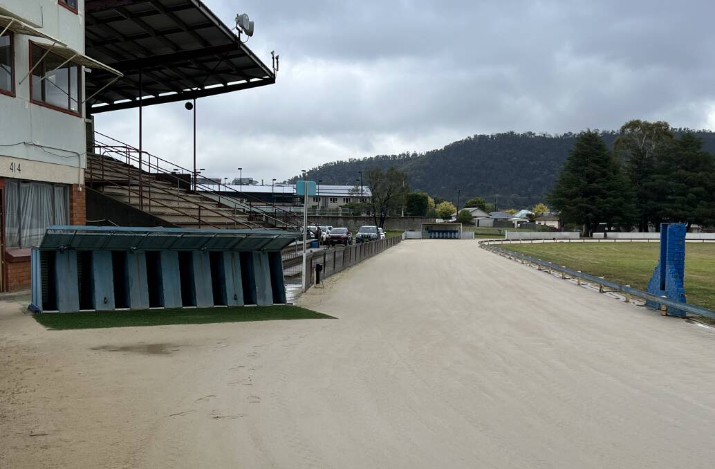 Stanford's Plea To End 'Sad' Lithgow Stalemate - Greyhound Recorder