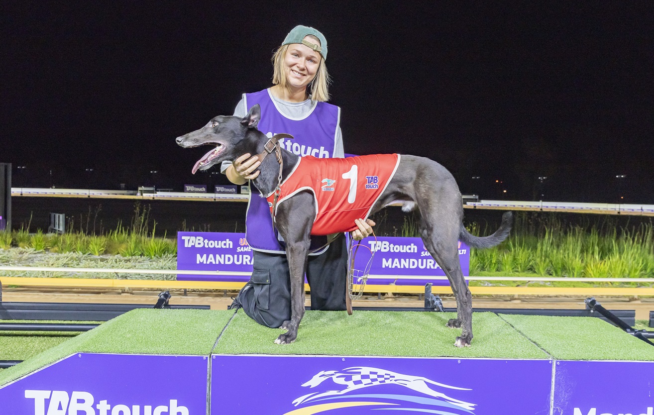Iconic Jet In Box Seat For WA Bred Championship - Greyhound Recorder