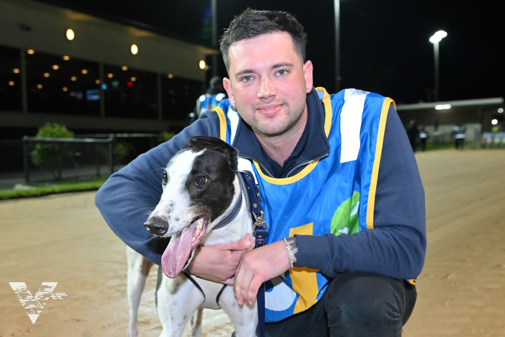 Runner By Runner Guide: G2 Bendigo Cup - Greyhound Recorder