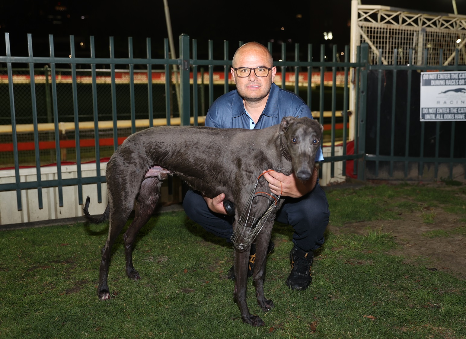 Blue Goose Boy To Continue Sparkling Return - Greyhound Recorder