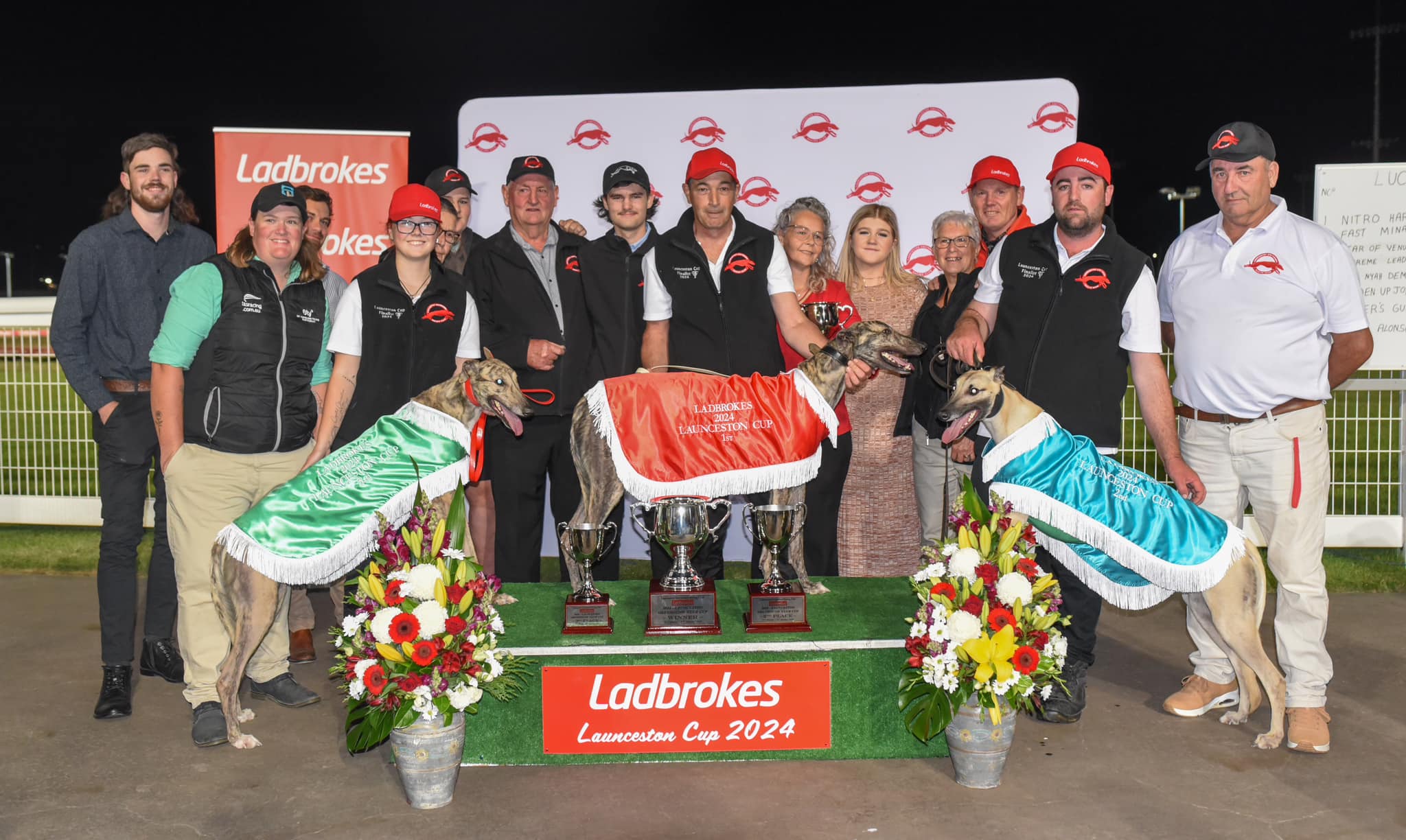 Fast Minardi Youngsters To Debut In Hobart Heats - Greyhound Recorder