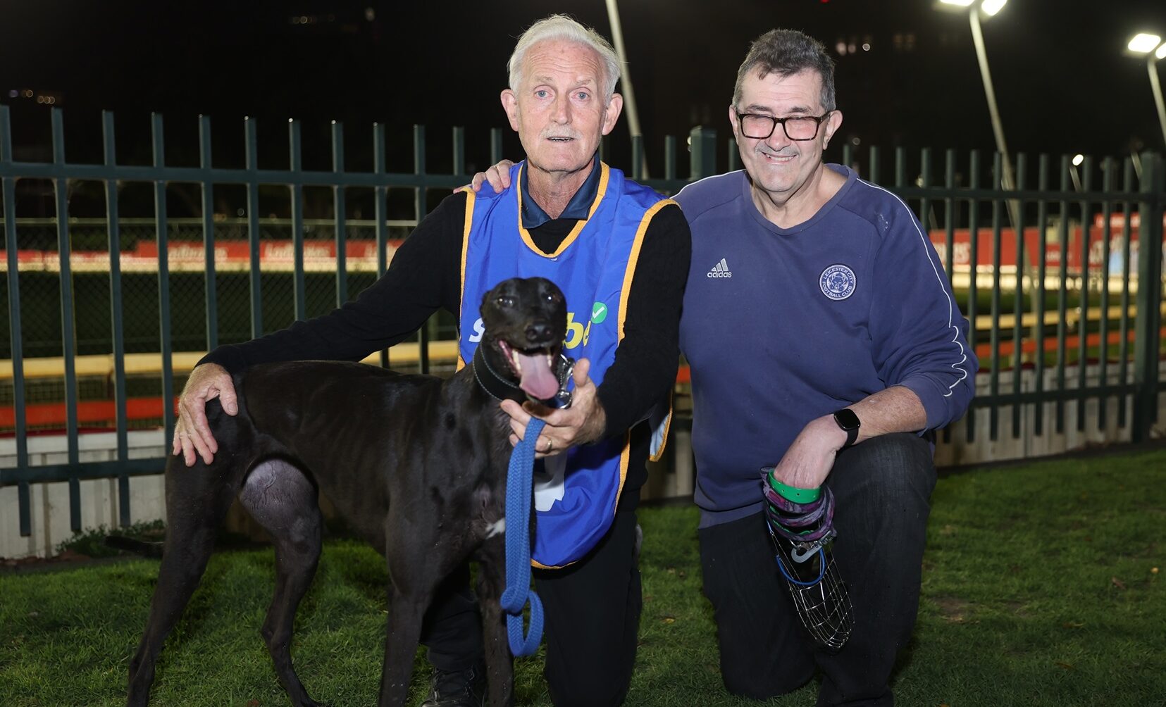 Staying Champ Valpolicella On Road to Recovery - Greyhound Recorder