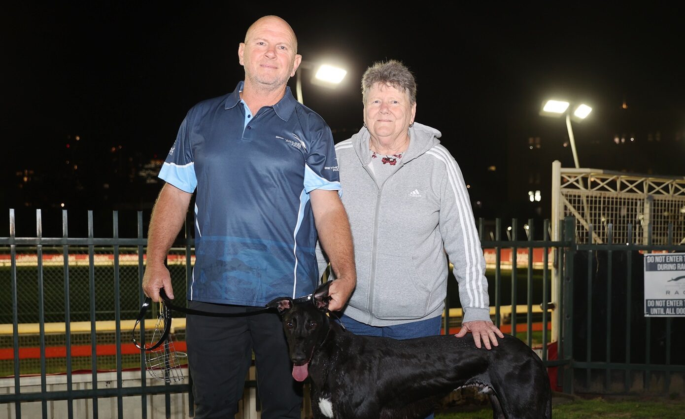 Horror Draw Brings Johnny Back To Classic Pack - Greyhound Recorder