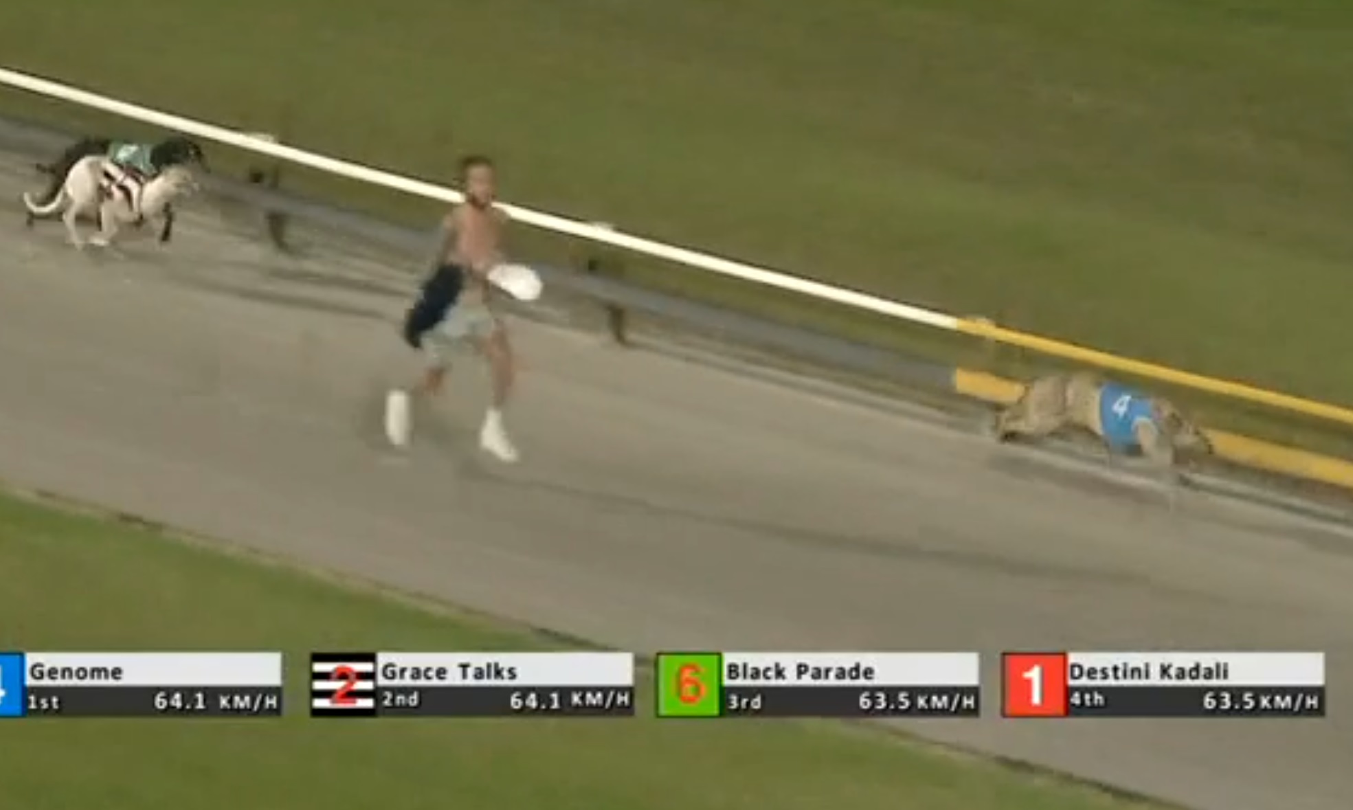 'No Race' After Offender Invades Track - Greyhound Recorder