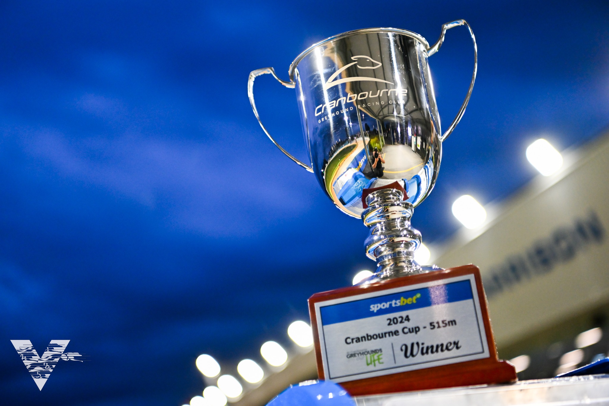 Morton's Major Hurdle In Cranbourne Cup Bid - Greyhound Recorder