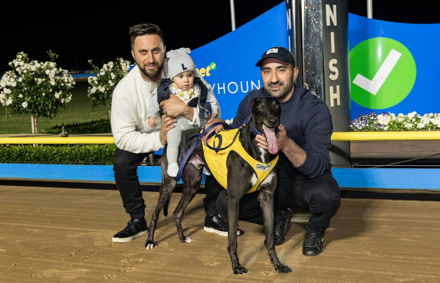 Mister Easy All Set For Meadows Group 1 Test - Greyhound Recorder