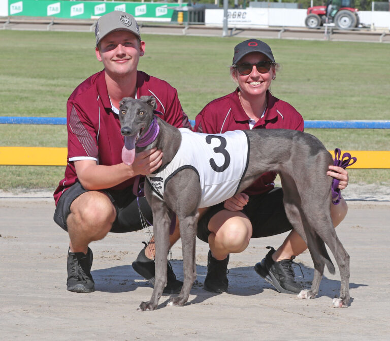 Midnight Queen Gives Bailey Moment To Savour - Greyhound Recorder