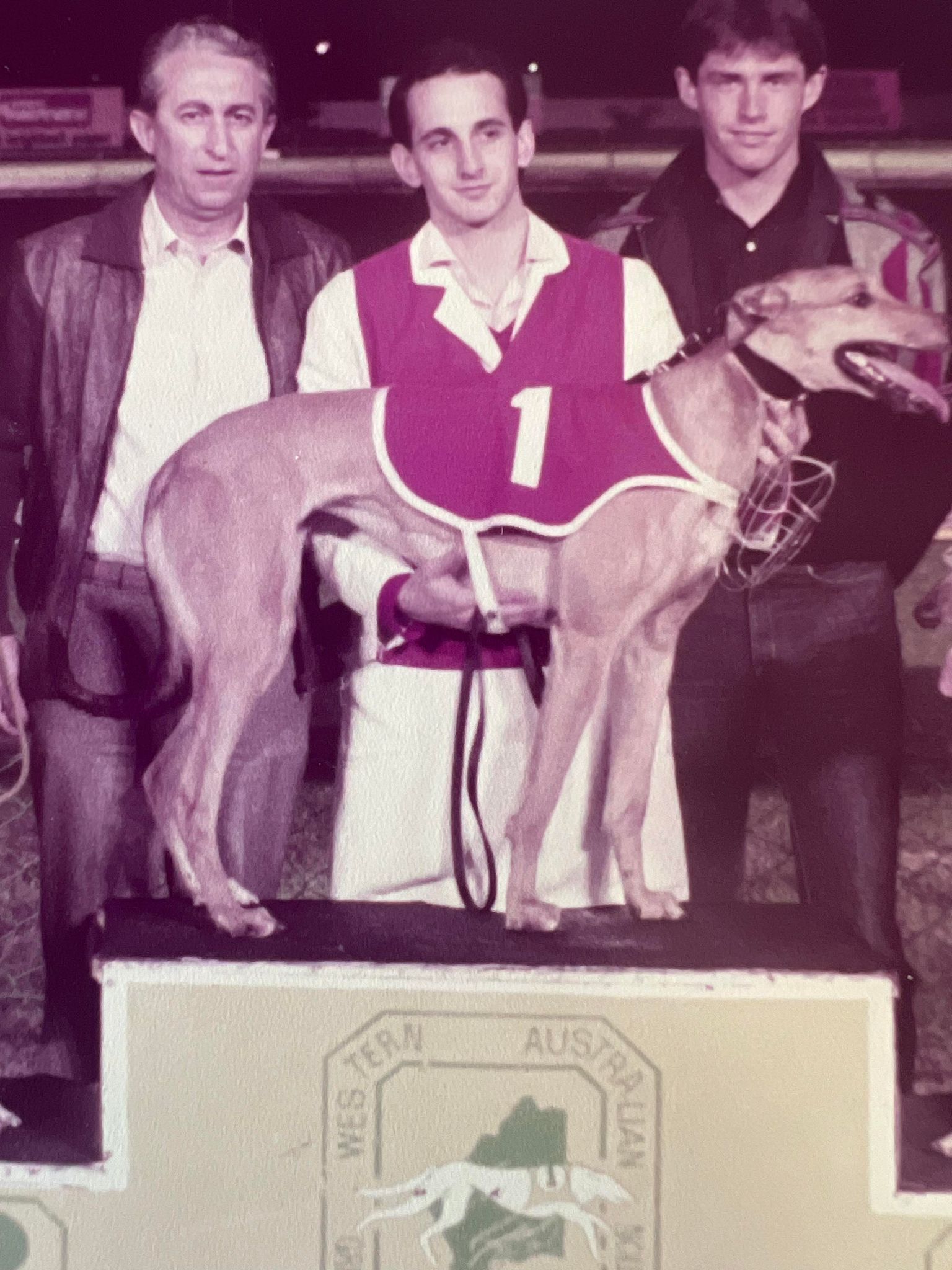 David Simonette – Rare Book – 50 Years of Greyhound Racing WA – History ...