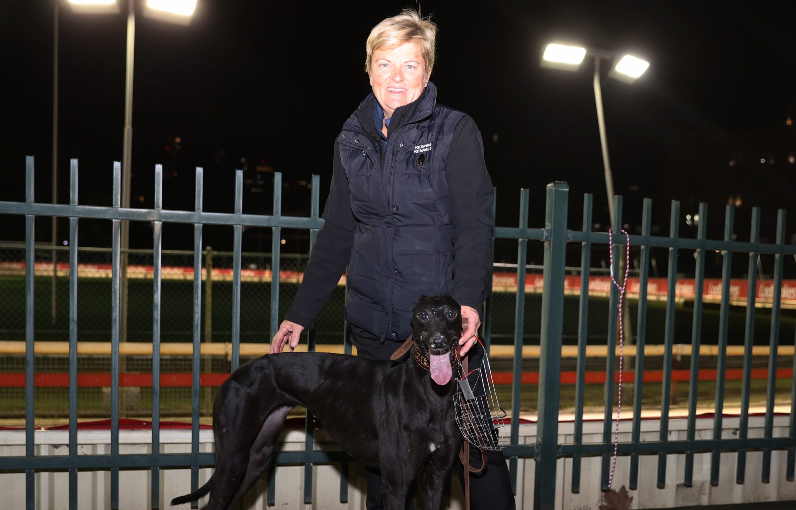 Bryan Maxwell Close To Charmaine's Heart - Greyhound Recorder
