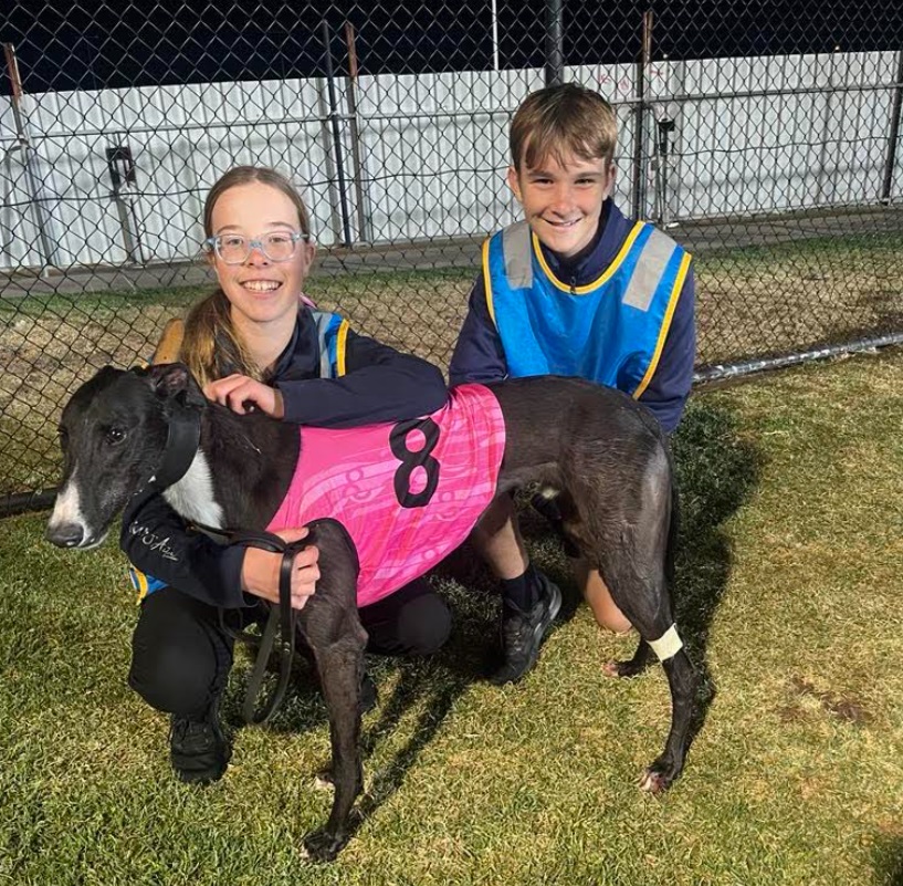 Hector Fawley's ‘Magical' Racing Journey Ends - Greyhound Recorder