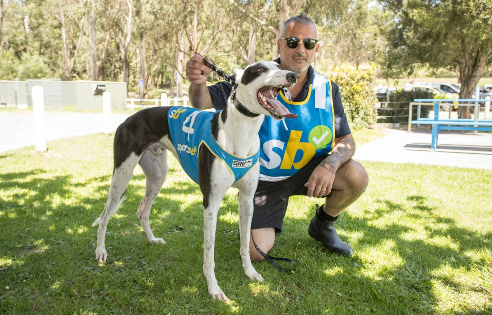 Sheezel Set To Sizzle In Straight Track Cup - Greyhound Recorder