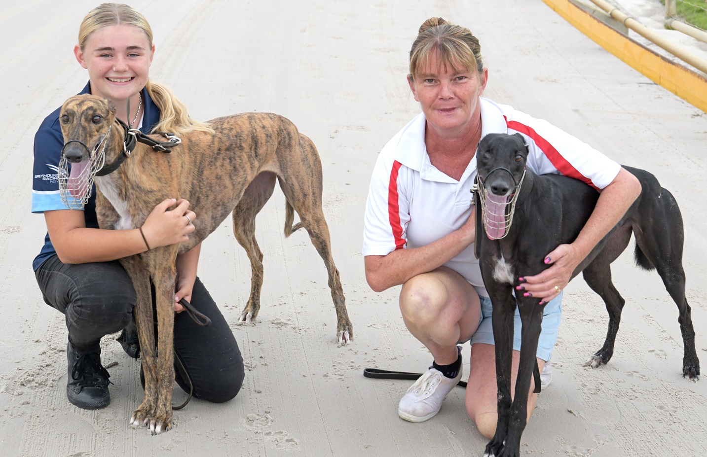 Wobbly Chook Cup A Memorable Win For Mark - Greyhound Recorder