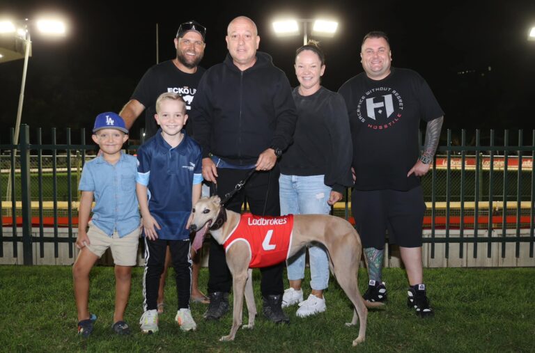 All Forgiven As Honk Honk Takes Flight In Town - Greyhound Recorder