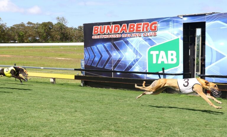 Taylor Fumes As RQ Confirm Bundaberg Track Stance - Greyhound Recorder