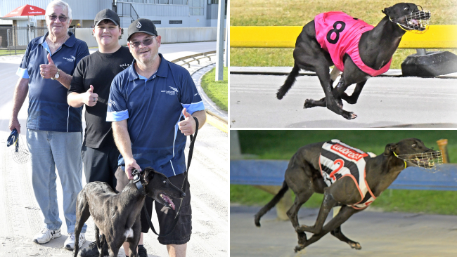 Burston Living The Dream With Ripped Raccoon - Greyhound Recorder