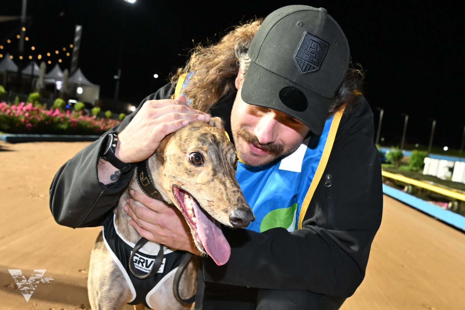 'Great Chance': Tully Set For Australian Cup Test - Greyhound Recorder