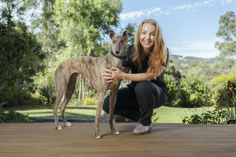 Miss Rumble Greyhound - Form, Stats & News