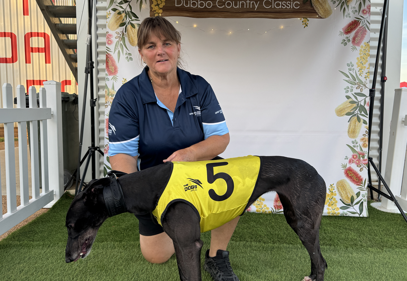 Gets Late Early Set For Historic Brother Fox Bid - Greyhound Recorder