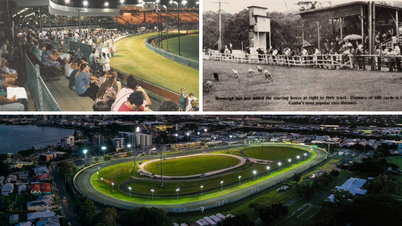 The Tracks That Came Before To Lead To The Q - Greyhound Recorder