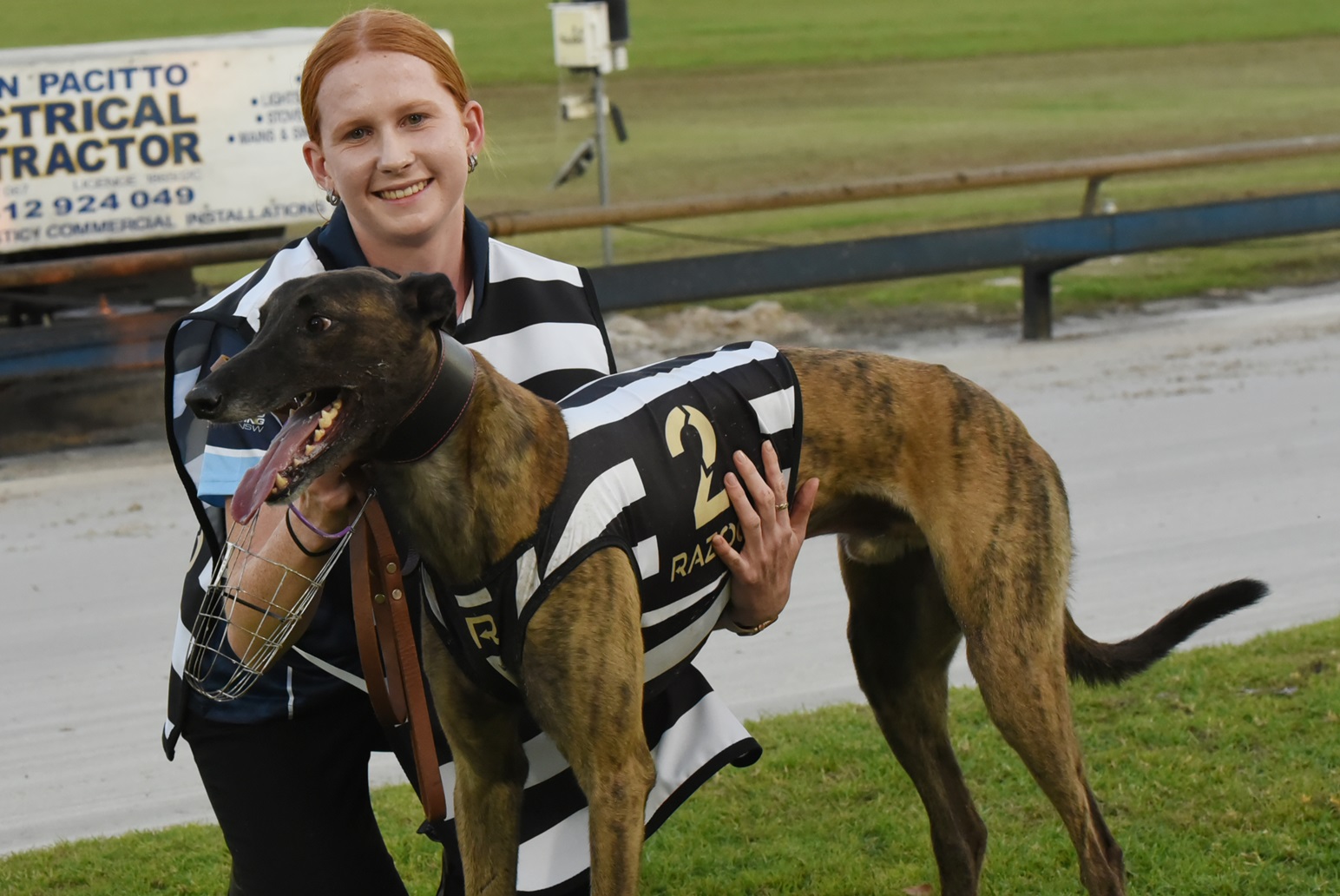 Ageless Go Bears Chasing Classic Catch - Greyhound Recorder
