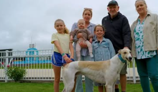 Training Dream Just That For Delia and Halle - Greyhound Recorder