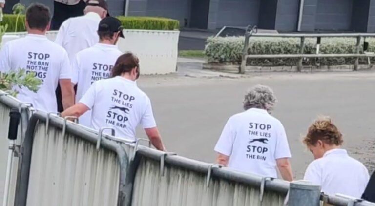 'Suffering And Anguish': The Faces Behind NZ Ban - Greyhound Recorder
