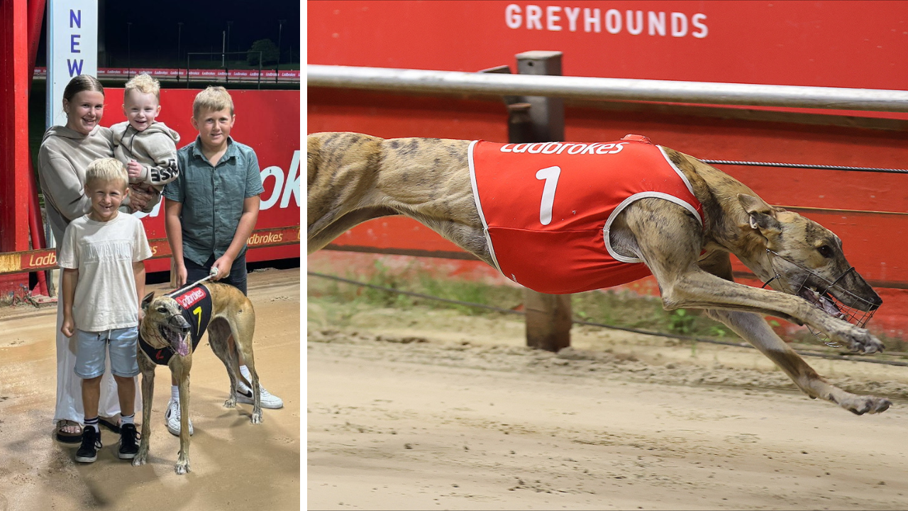 The Cheer Squad Behind Newcastle Cup Contender - Greyhound Recorder