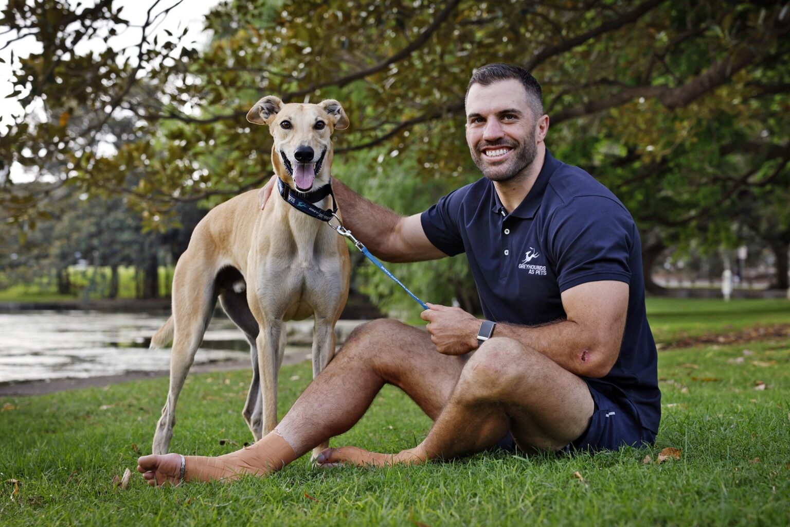 GRNSW Reveals $18M Financial Resurgence - Greyhound Recorder