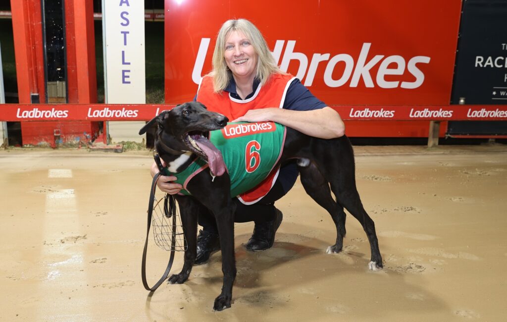 Sad Passing Of Tassie Great Raider's Guide - Greyhound Recorder