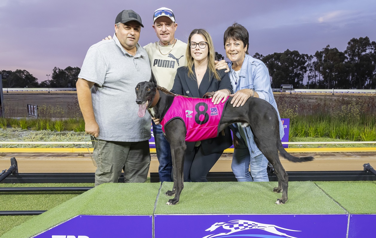 'Proper Dog': Iconic Jet Set For Mandurah Derby Test - Greyhound Recorder