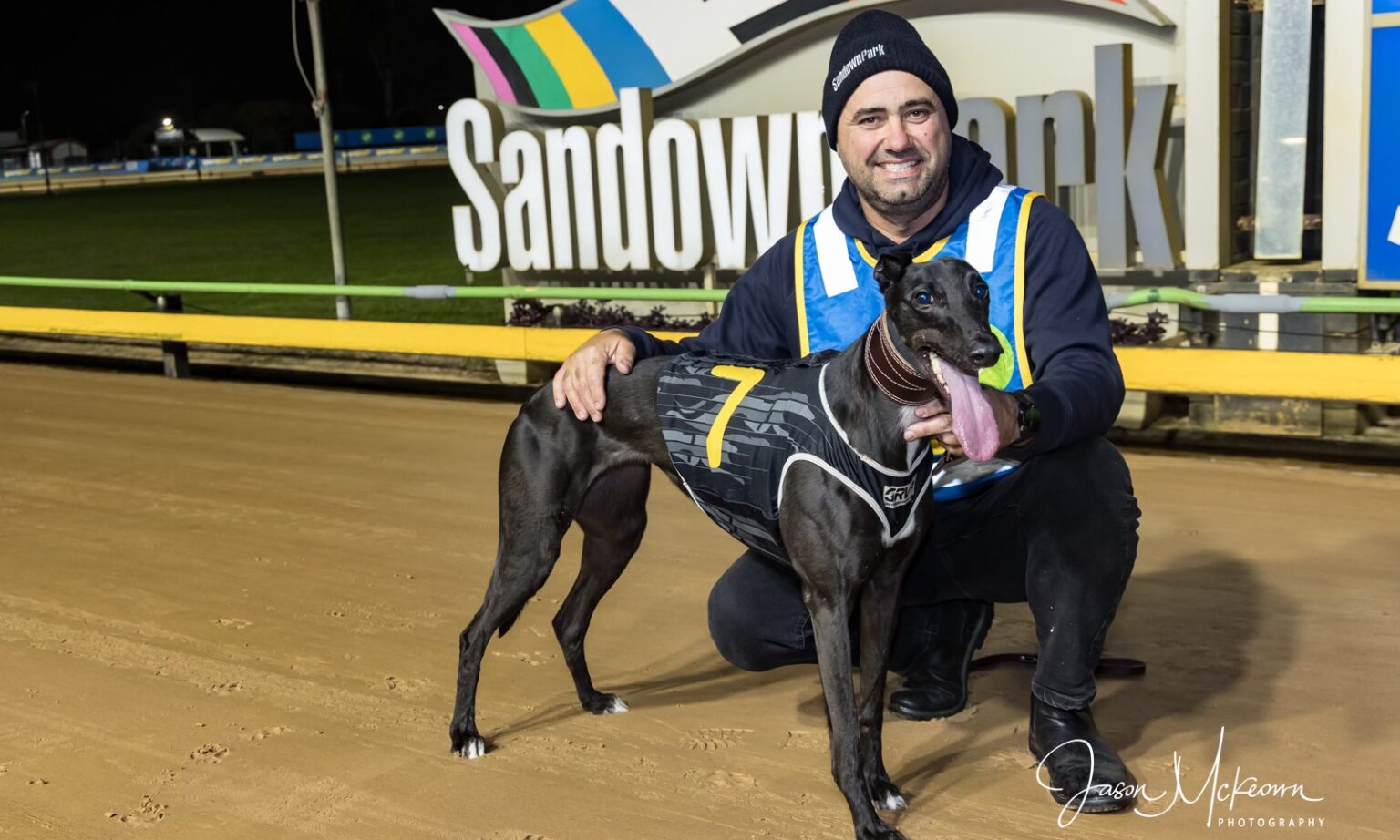 Tim Zoo Equals Record After Cup Debacle - Greyhound Recorder