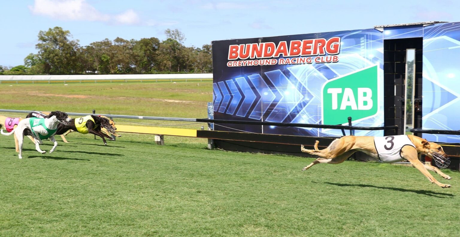 Racing Minister Pledges New Track For Bundaberg - Greyhound Recorder