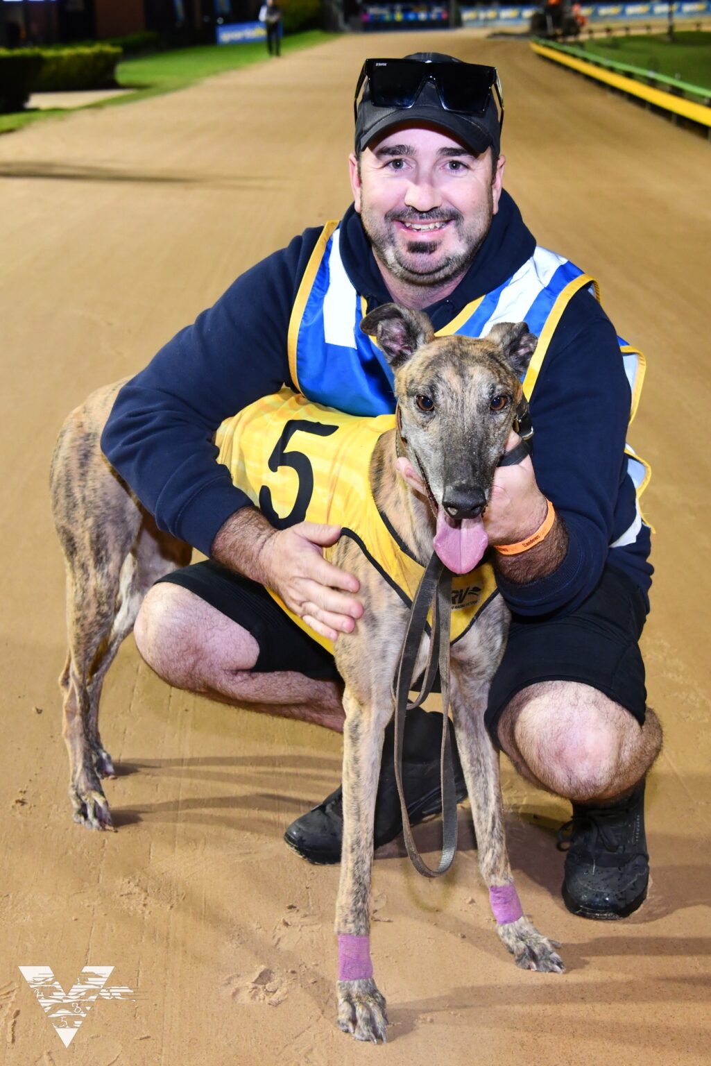 Scott Set For 'Surreal' Sandown Cup Encounter - Greyhound Recorder