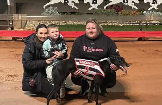 Hurley Riding High Ahead Of Dual Cup Defence - Greyhound Recorder