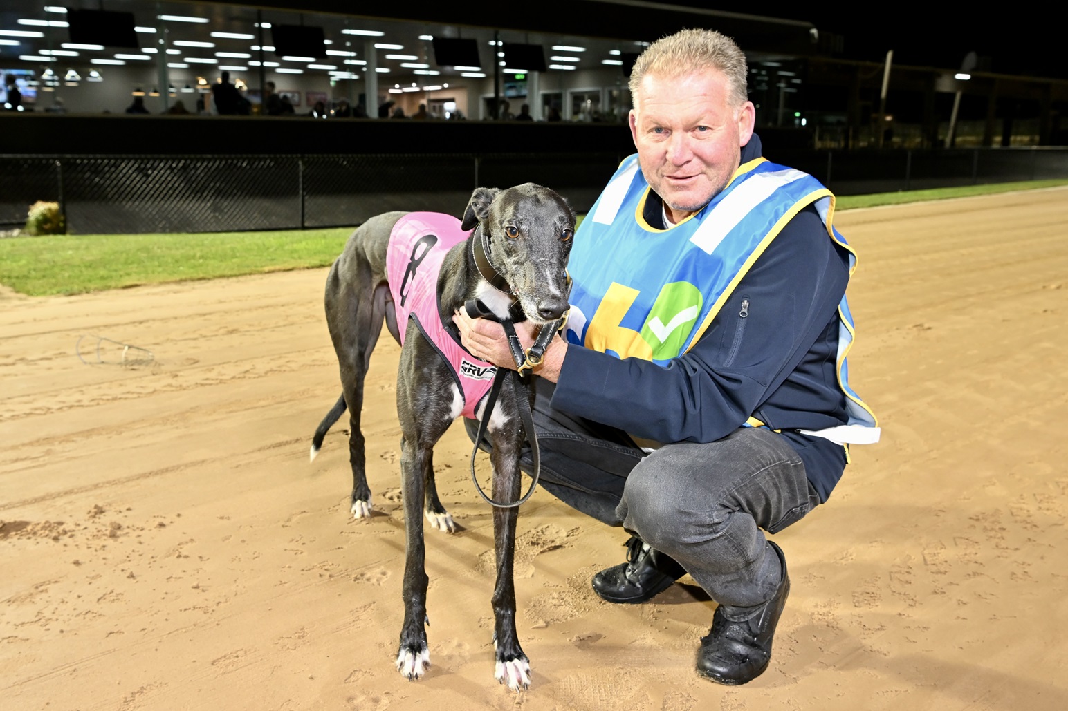 Fast Is Fast: Gold Force To Run Cup Gauntlet - Greyhound Recorder