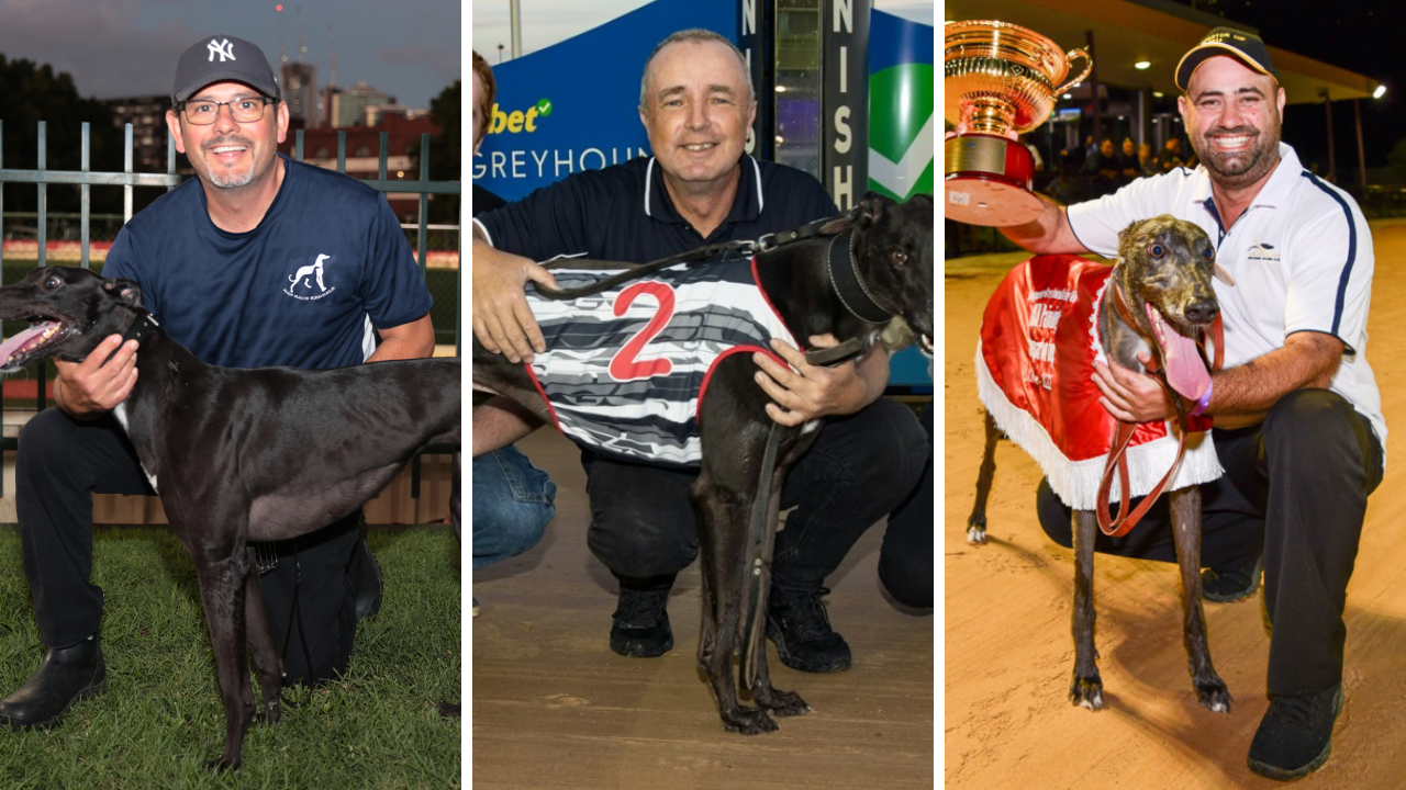 Flying Amy Trainers In Awe Of The Q 'Masterpiece' - Greyhound Recorder
