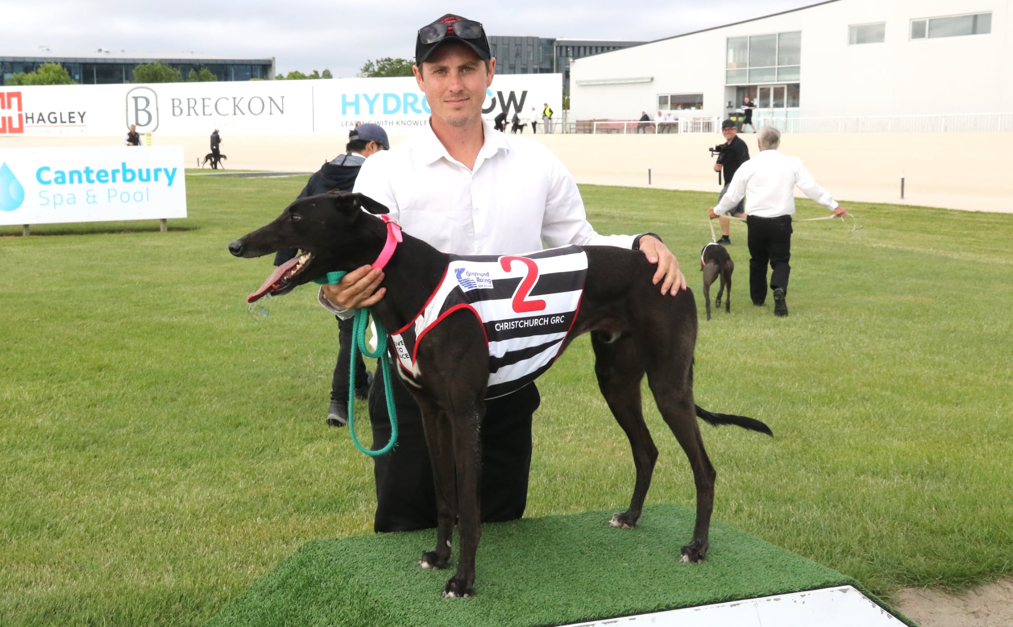 Chief Dribble On History Making Silver Collar Quest - Greyhound Recorder