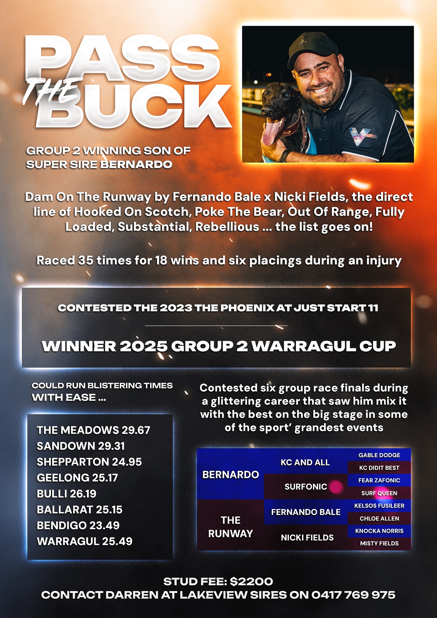 Pass The Buck At Stud Dog - The Greyhound Recorder