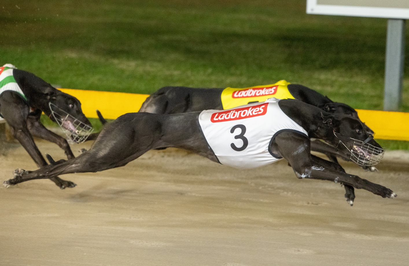 Mates On Thunderbolt Collision Course - Greyhound Recorder