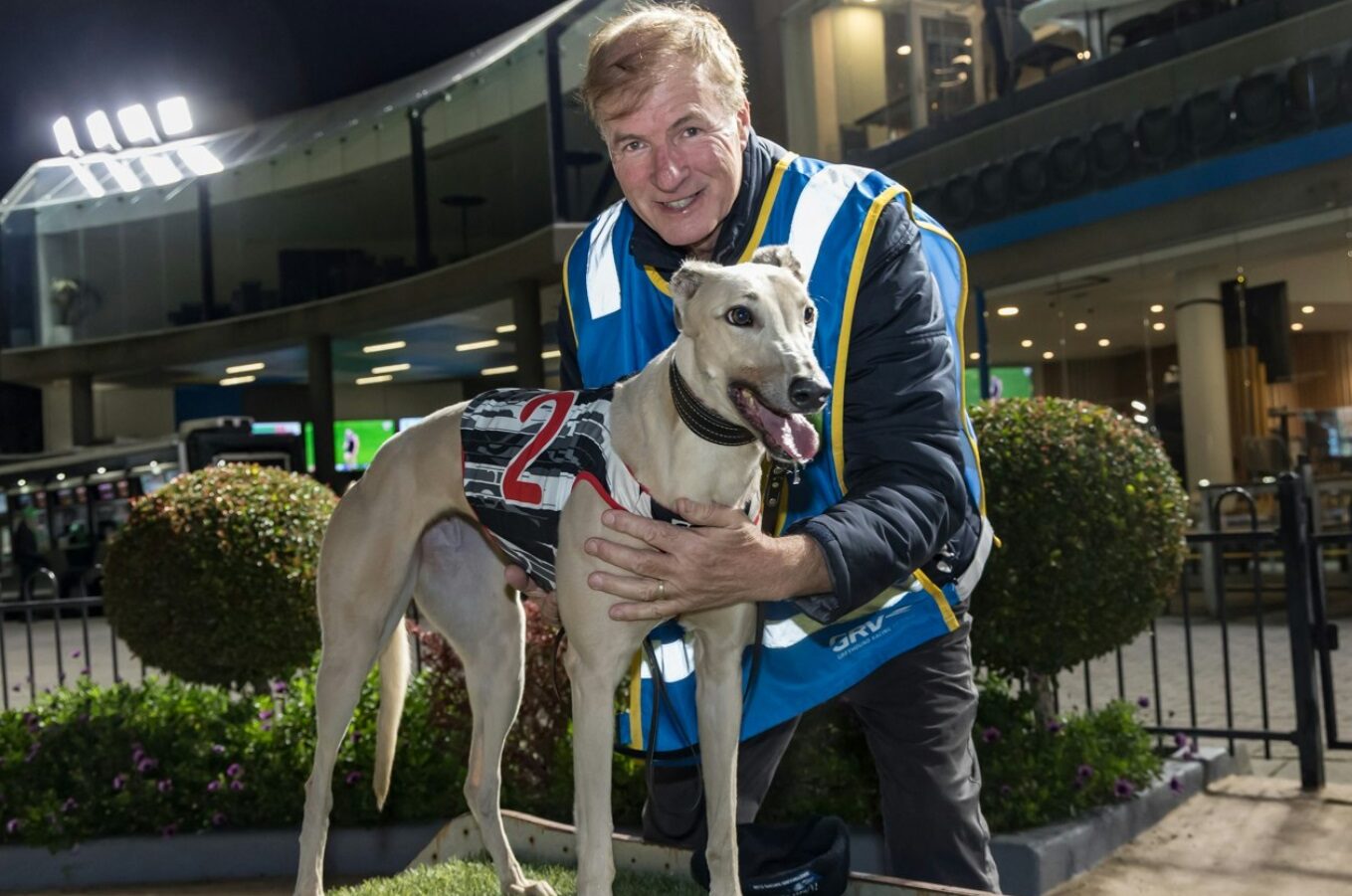 Geall Spritely Ahead Of Grafton Cup Push - Greyhound Recorder