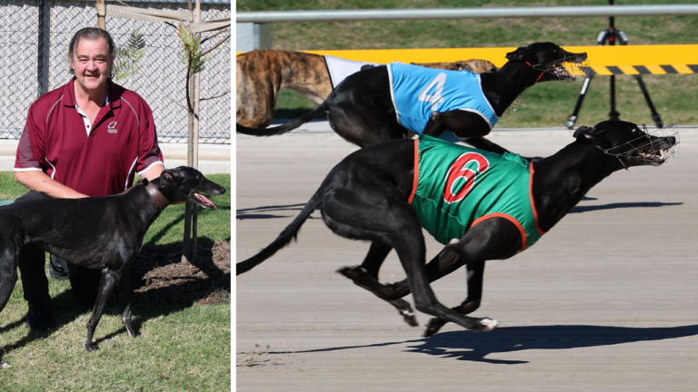 Right On Q: Moore Snares Slice Of Straight History - Greyhound Recorder