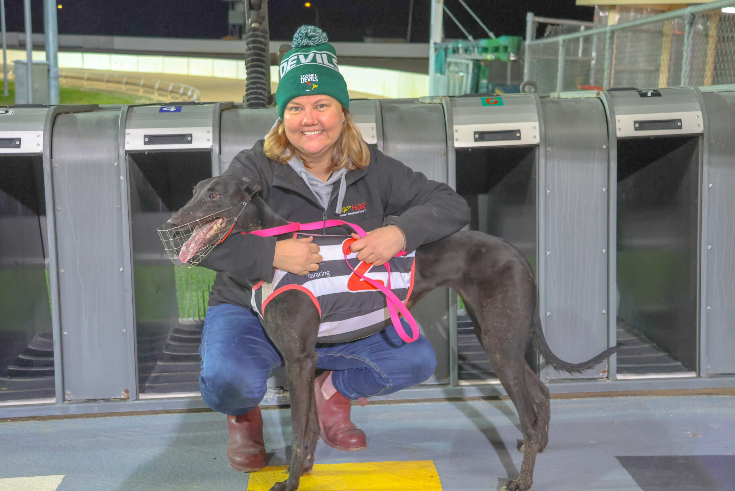'Amazing': Clare's 'Photo' Finish To Remember - Greyhound Recorder