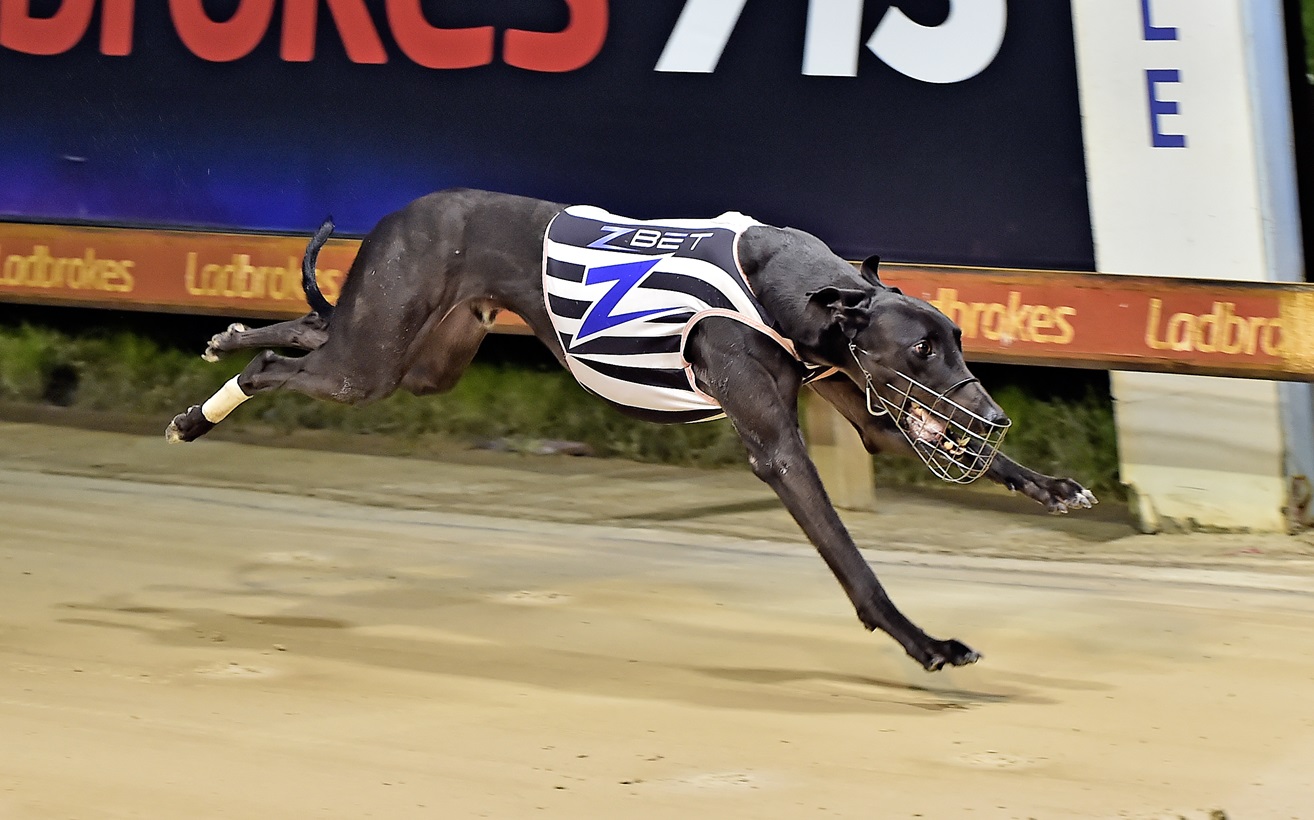 'Stoked The Fire': Kenyon Elated With Call Up - Greyhound Recorder