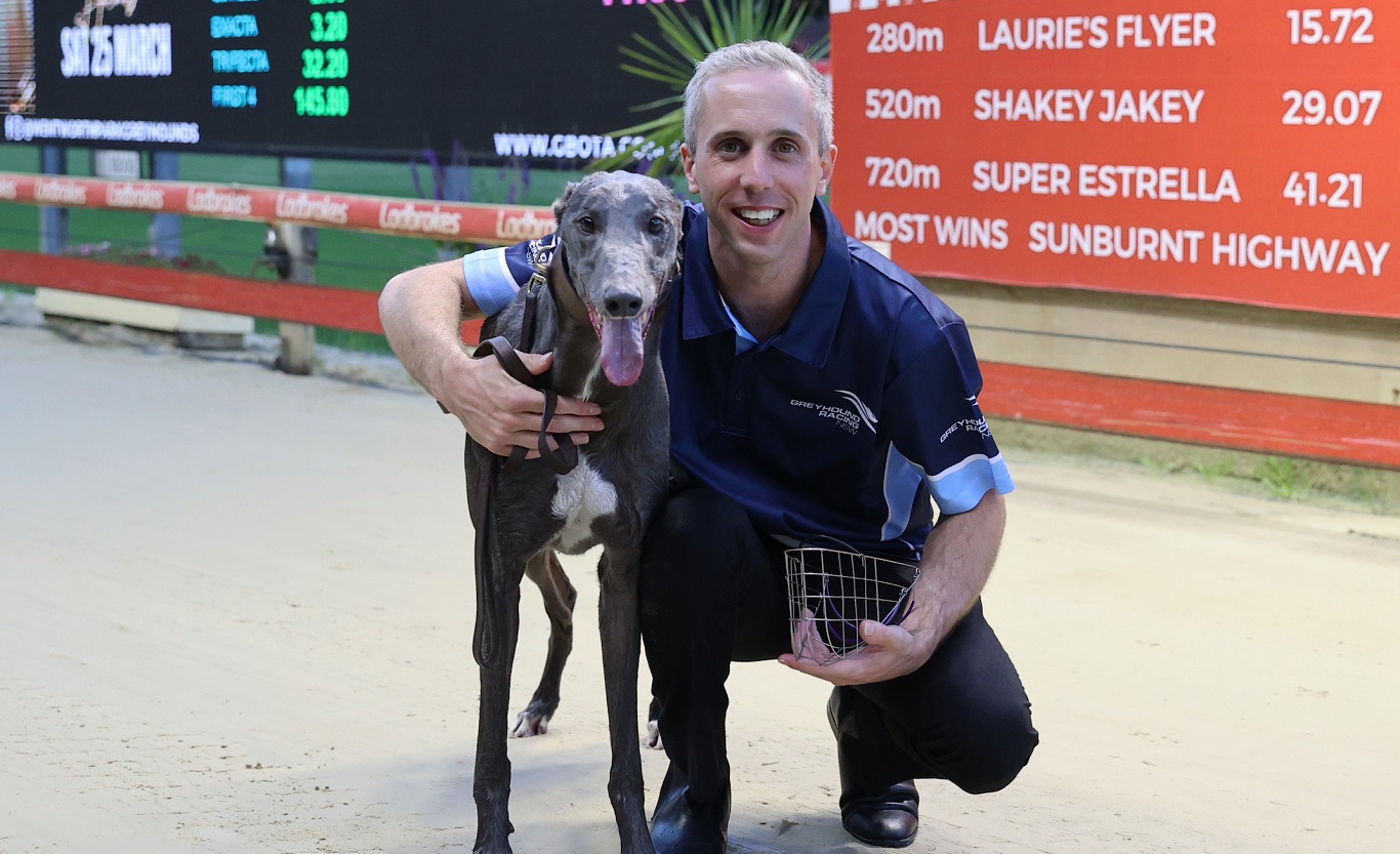 Pride On The Line In G1 Vic Peters Classic - Greyhound Recorder