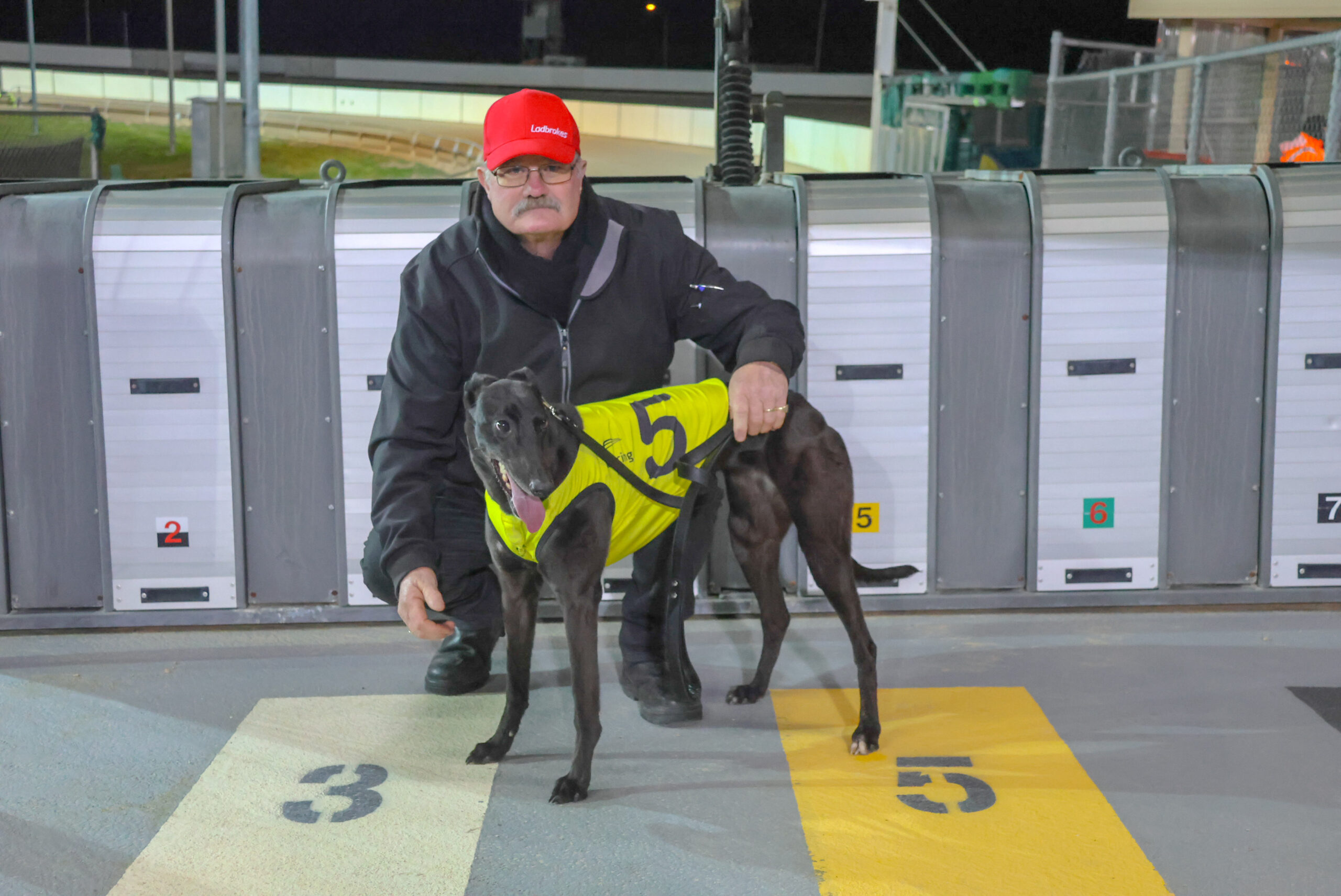 Ross' Hard 'Work' Pays Off With Career Milestone - Greyhound Recorder