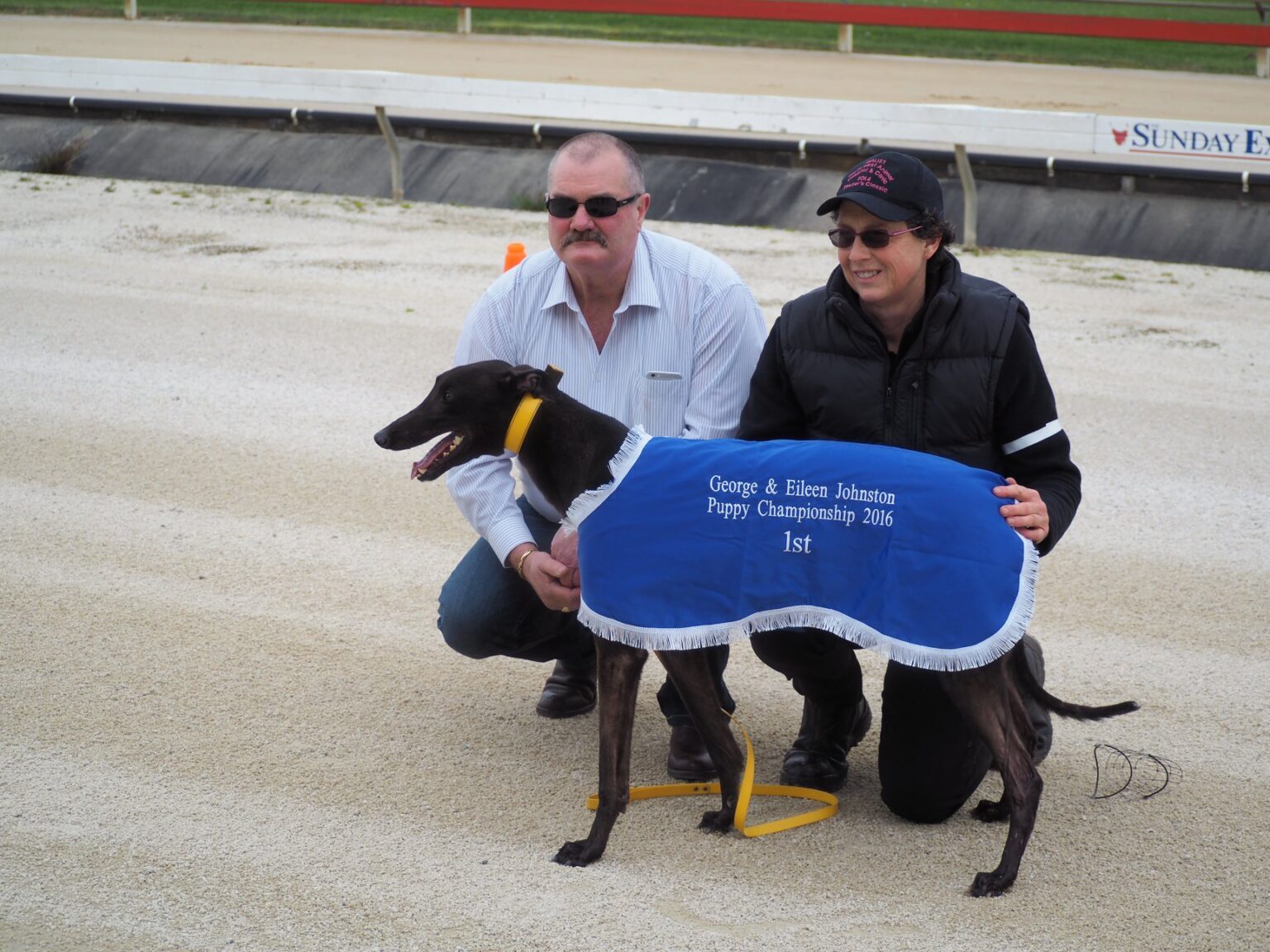 Ross' Hard 'Work' Pays Off With Career Milestone - Greyhound Recorder