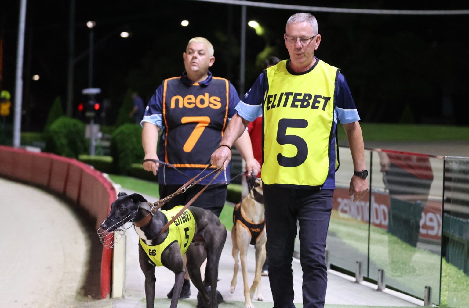Indi On Nationals Trial At City Distance Debut - Greyhound Recorder
